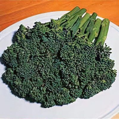 Brassica rapa var. perviridis 'Tendergreen'