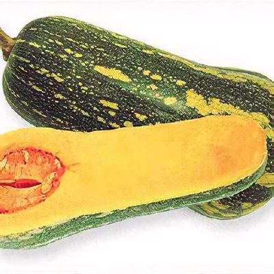 cucurbita mixta