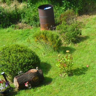 hebe green globe pruning