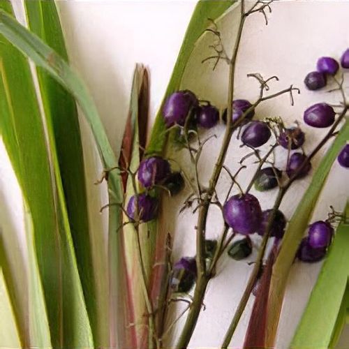 Previous Next 1 of 2