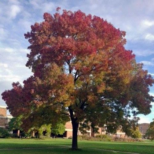 Previous Next 1 of 5