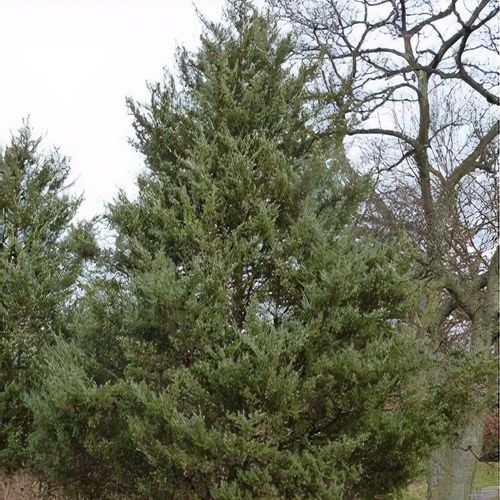 Previous Next 1 of 2