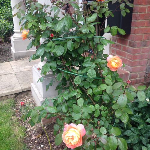 Previous Next 1 of 9