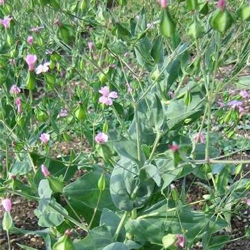 Previous Next 1 of 3