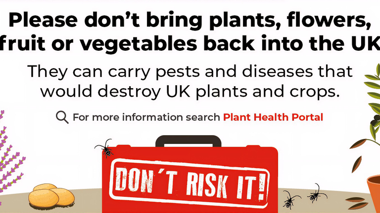 Don’t risk it: Invasive plant risk information from Defra